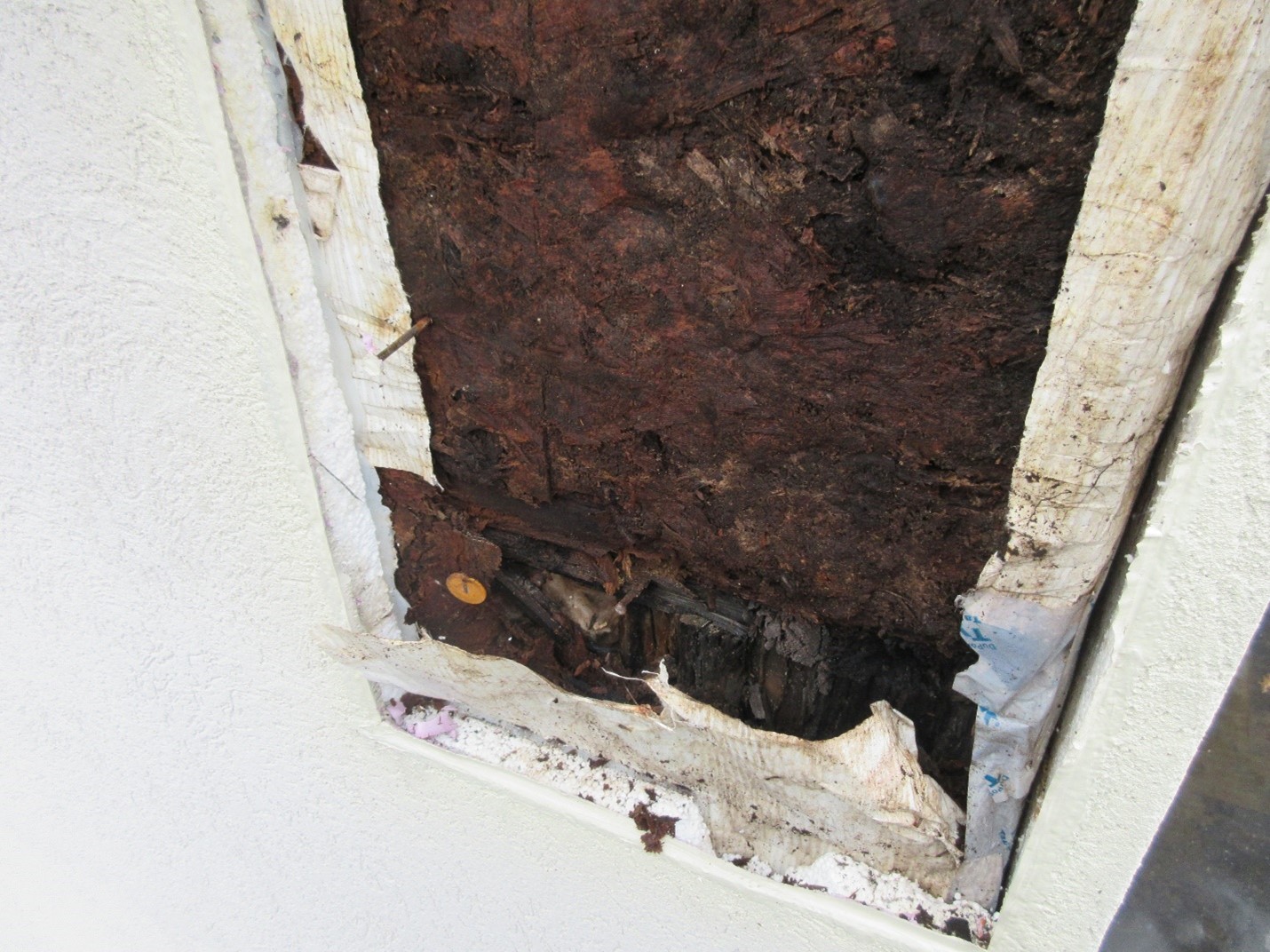 Knowledge Center | Envista Forensics